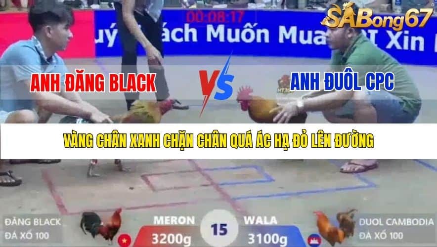 Trận 15 Bồ Xà Xía 1/1/2026 : Anh Đăng Black Và Anh Đuôl CPC